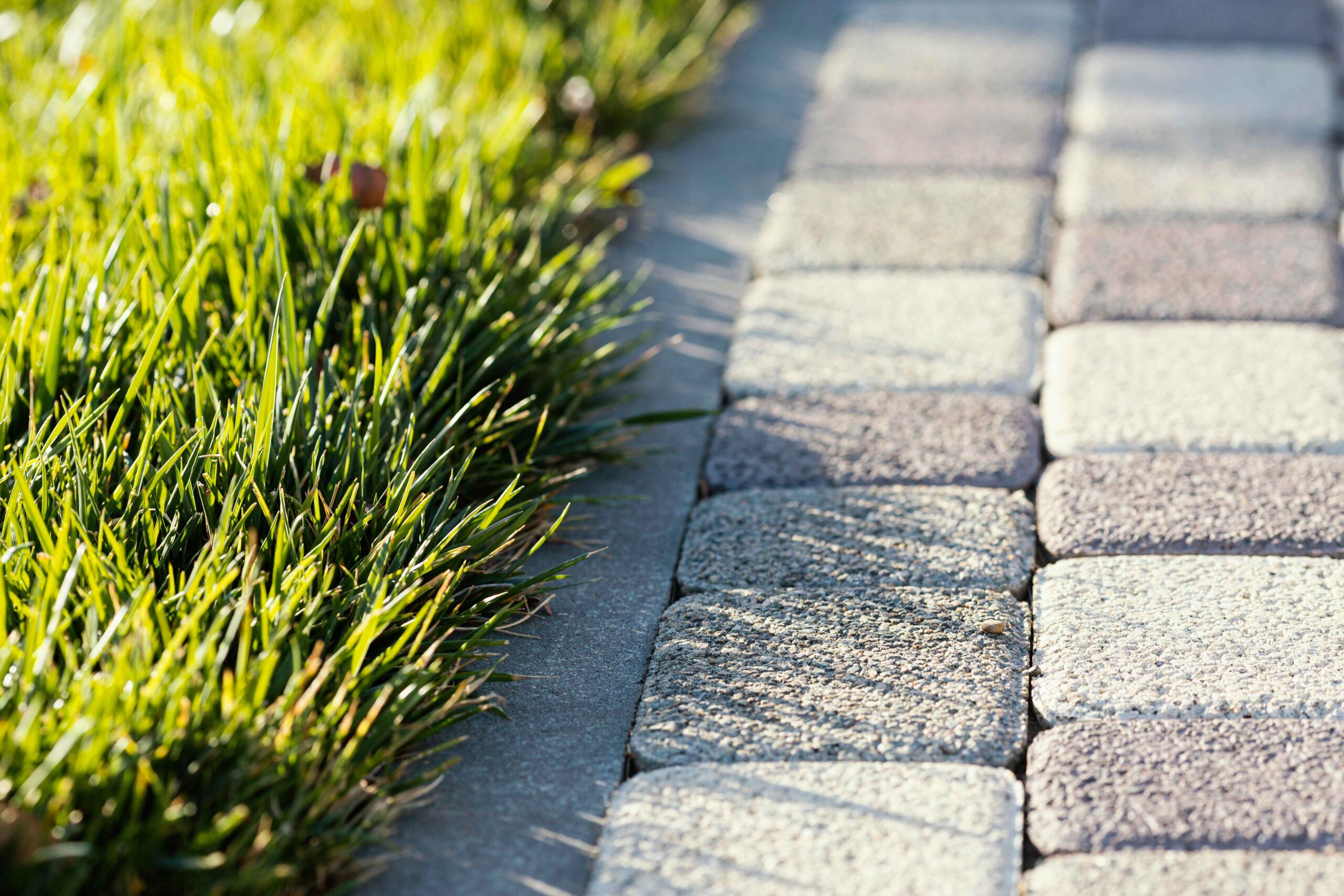 Essential Tips for Maintaining Block Paving Driveways
